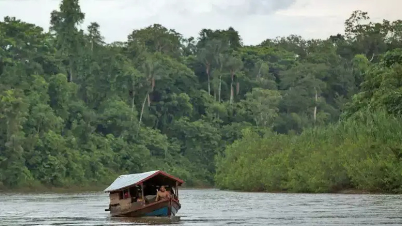 Povo Marubo processa New York Times por reportagem que associa ...