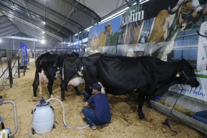 Expoagro 2025: Sepror promove concursos de queijo, doce de leite, de ...